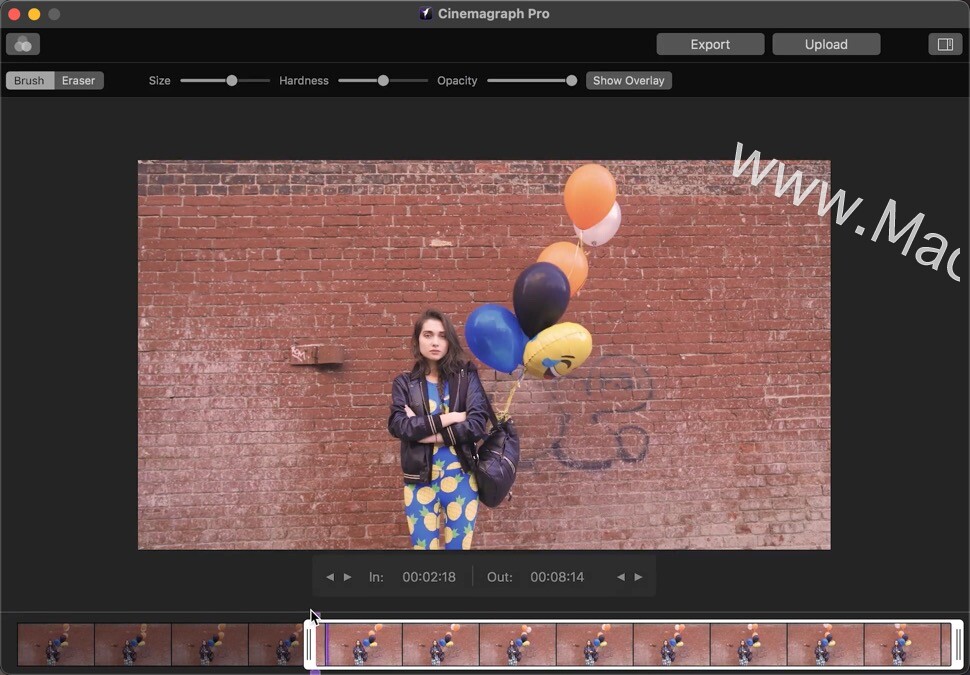 Picture effects editing tool: Cinemagraph Pro for Mac Chinese version ...