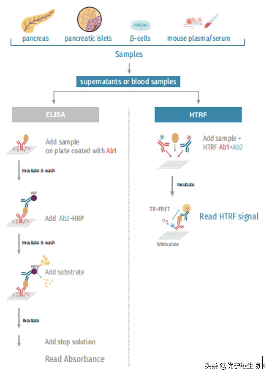 Application of HTRF® Technology in Quantitative Detection of Insulin ...