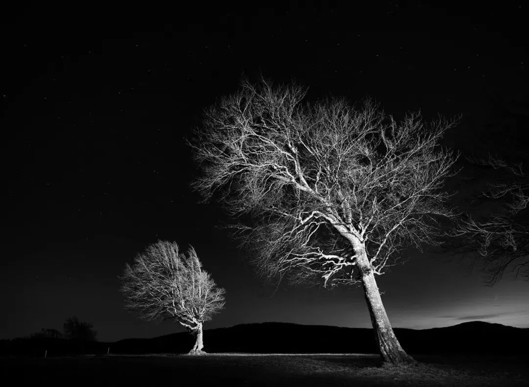 Two Important Features of Philosophy: Articulation and Argumentation ...