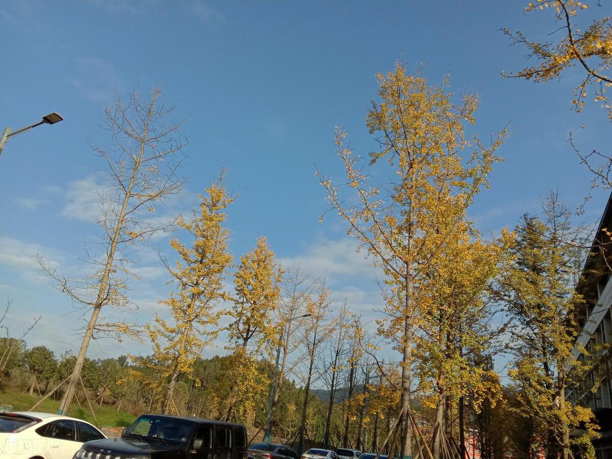 Master Hongyi: Whether you let it go or not, the ending is not ...