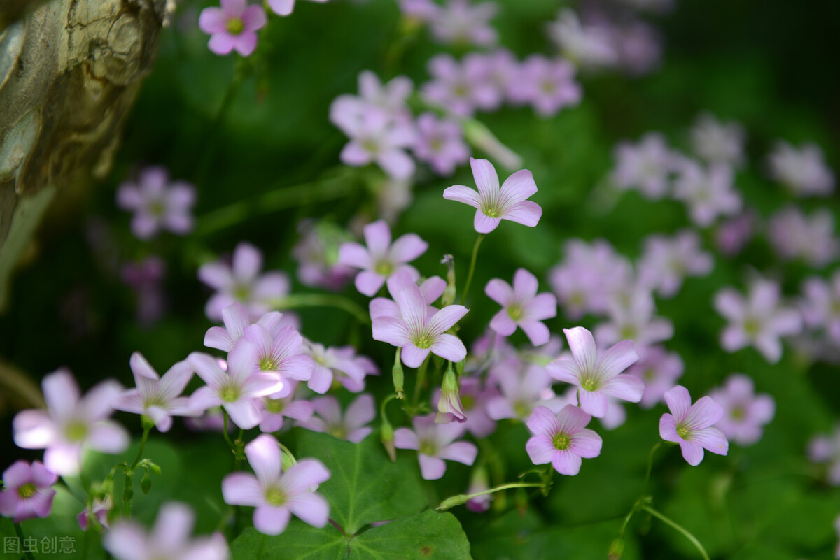 The time described in the poem (four small poems) - iNEWS