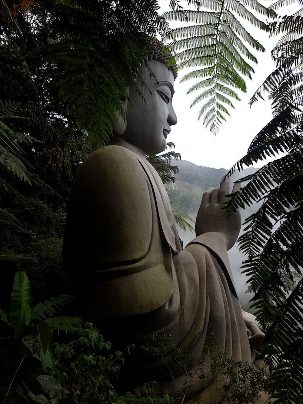 Mazu Daoyi taught his disciples that "the mind is the Buddha" first ...