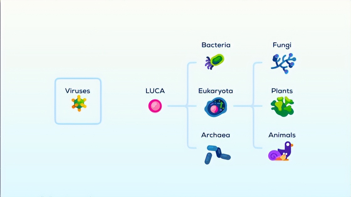 What is the giant virus "Girus"? - iMedia