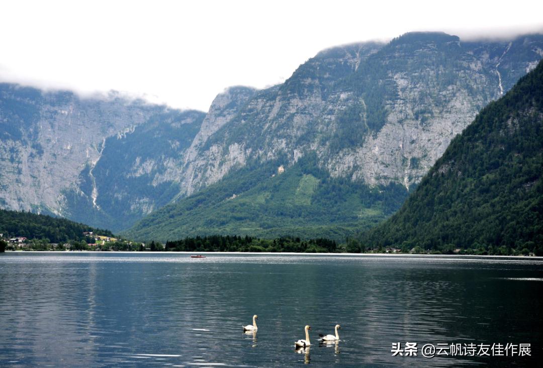 "Singer and Poet" Wu Hongbin "Journey to Spring" Seven Laws - iNEWS