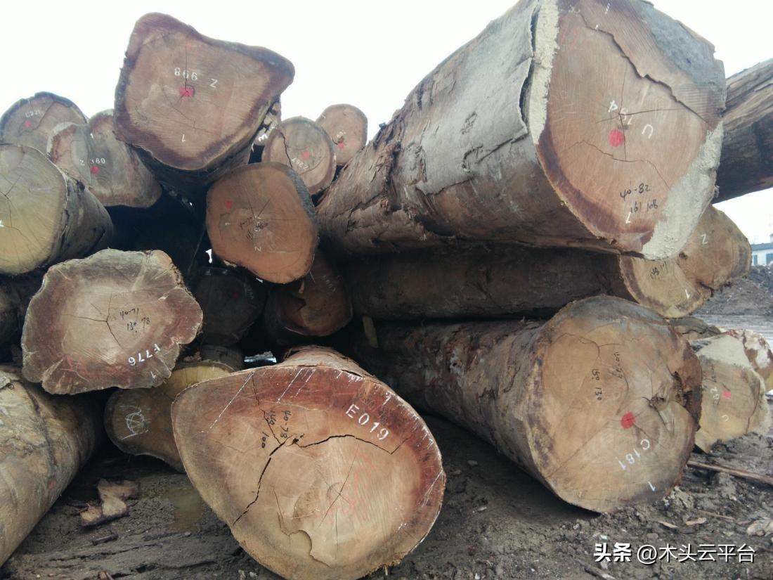 African timber shipments are being upgraded, timber prices expected to ...