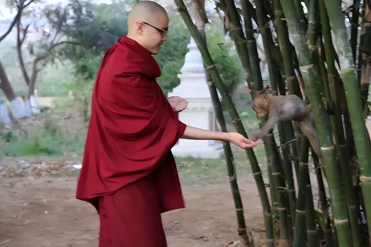 When I came to Rajagha, India, the Bamboo Forest Abode where the Buddha ...