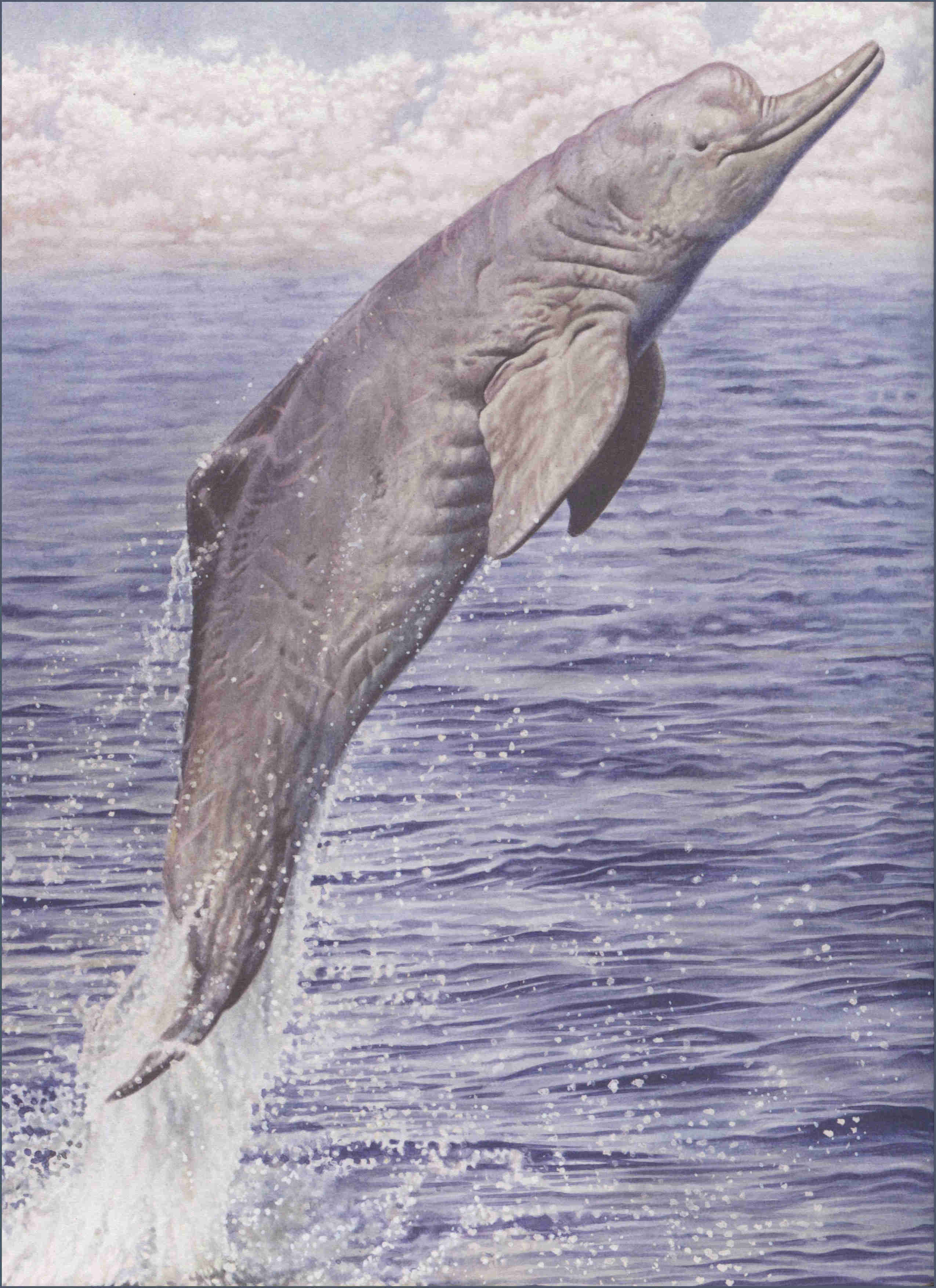 How do the four foreign popular science books of the same name ...