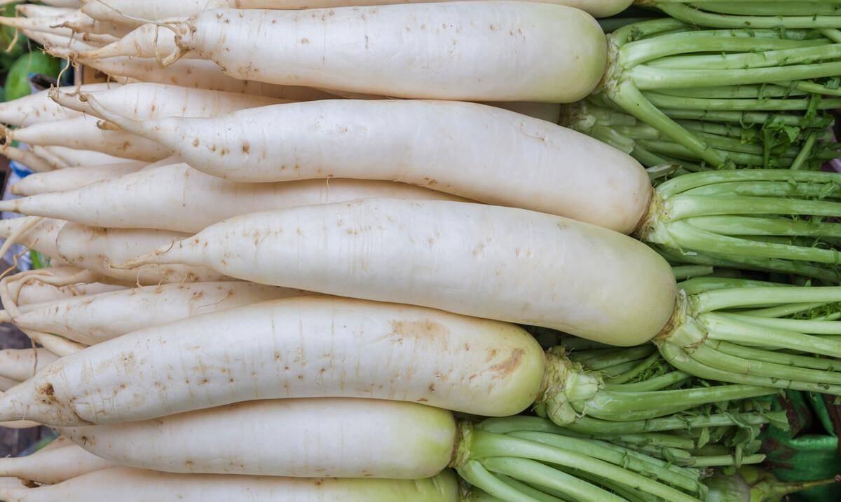 White radish is highly nutritious, the doctor reminds: these 3 types of ...