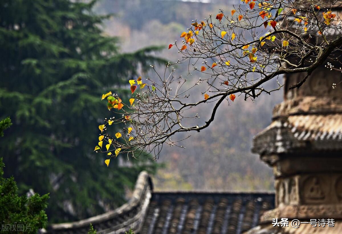 This is a good poem. In just 4 sentences, it writes a wonderful ...