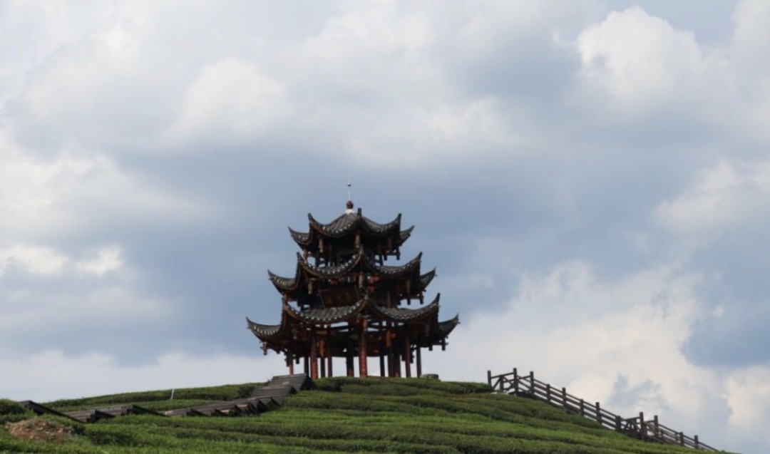 Hubei Xuanen Wujiatai tribute tea: the treasure in the world of Xuanen ...