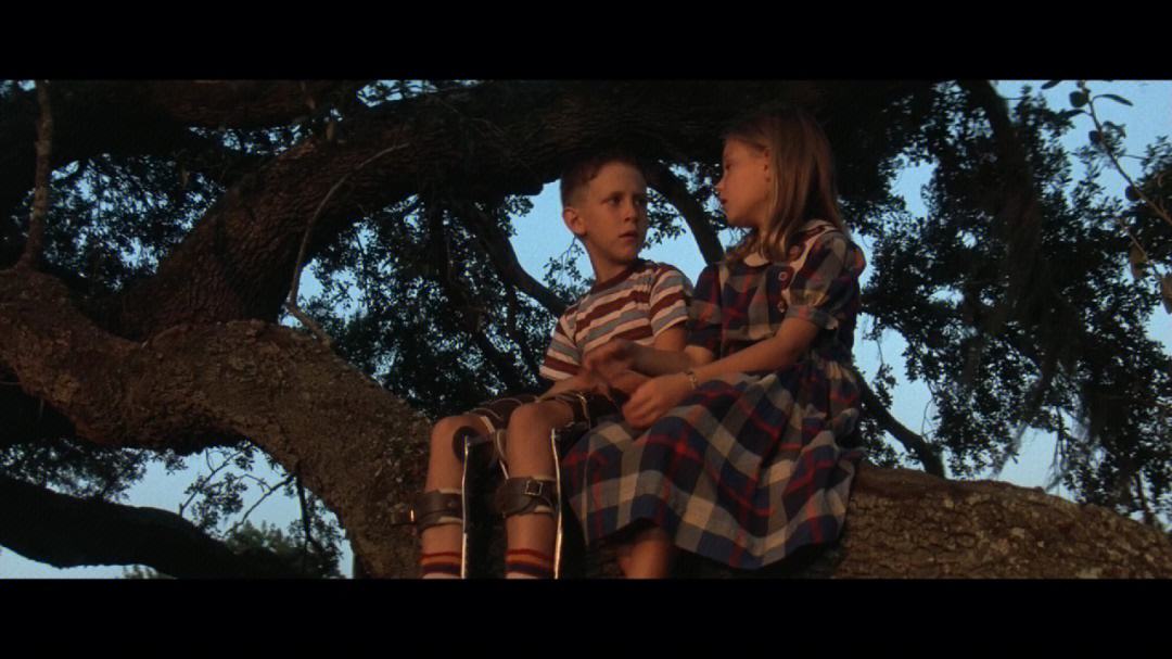 Metaphors of Scenes, Characters and Lines in the Movie "Forrest Gump ...