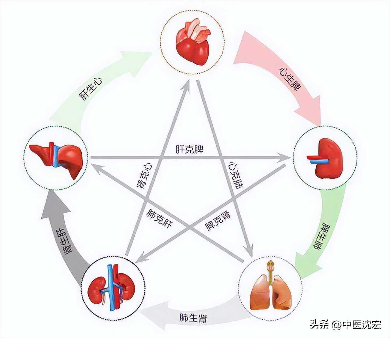 Treating the liver but not the spleen is an empty joy. I will give you ...