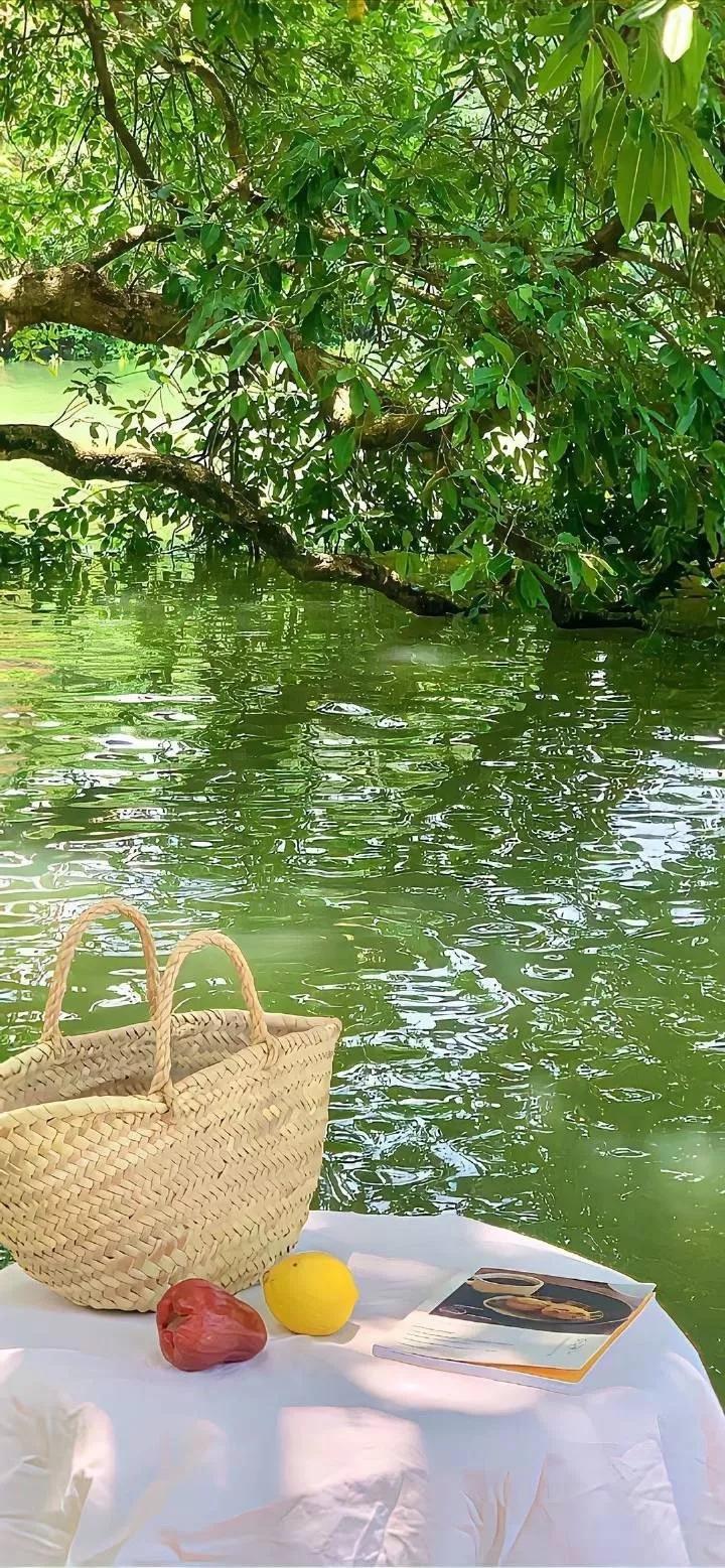 Comfortable green lock screen wallpaperⅠ - iNEWS