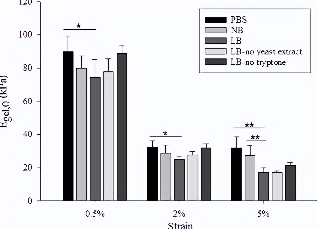 Unraveling the mechanical interaction between cells and hydrogels ...