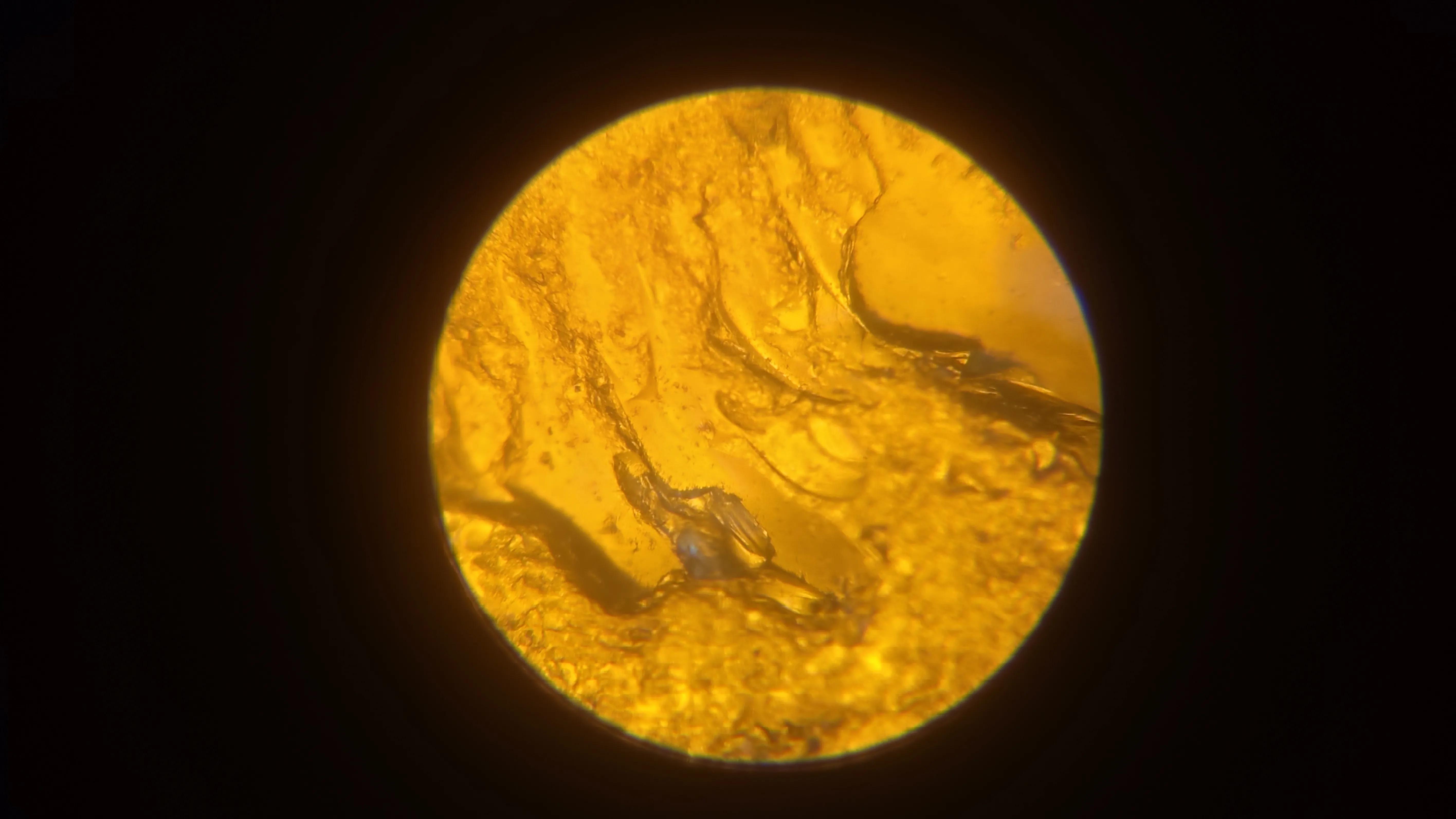 Lunar glass meteorite, magnetic - iNEWS