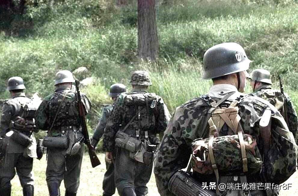 What kind of unit was the 3rd SS Death's Head Division? Did the ...