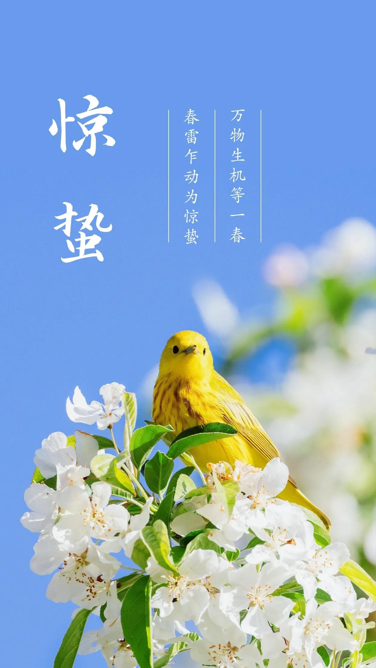 【驚蟄】Awakening of Insects - 頭條匯