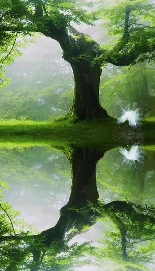 Zhang Xiaofeng's "I am" in the classic sentiment sentence - iNEWS