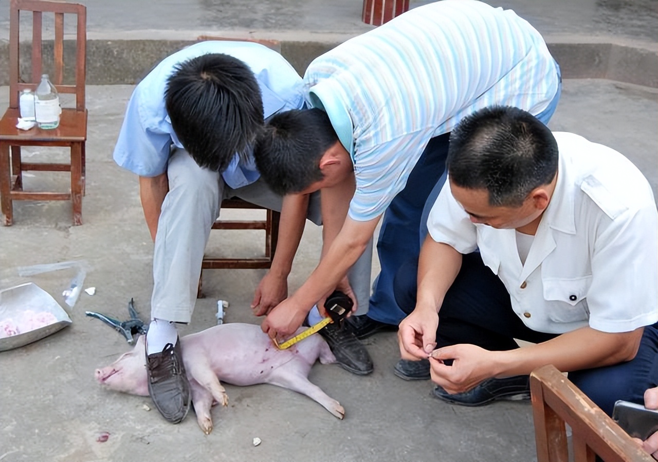 Animal castration only cuts the eggs, why did the ancient eunuchs ...