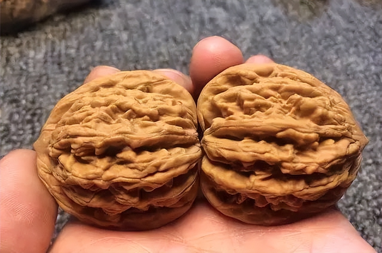 Wen Wan walnut will become popular quickly when playing like this? - iNEWS