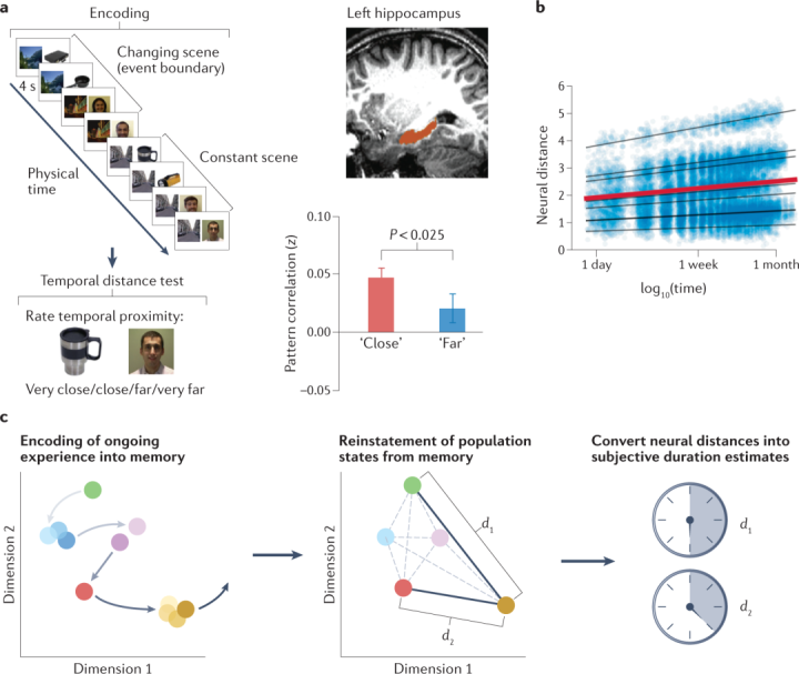 Nat Rev Neurosci Review: How to Sense Time? - iNEWS