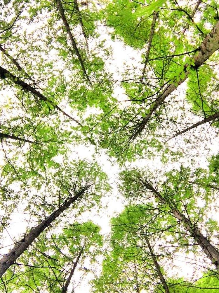 A person's bad luck is due to lack of knowledge - iNEWS