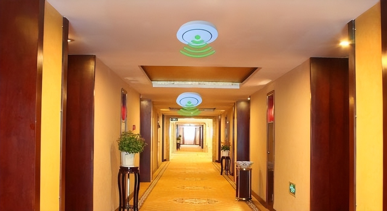 What is AP, how to distinguish fat and thin AP - iNEWS