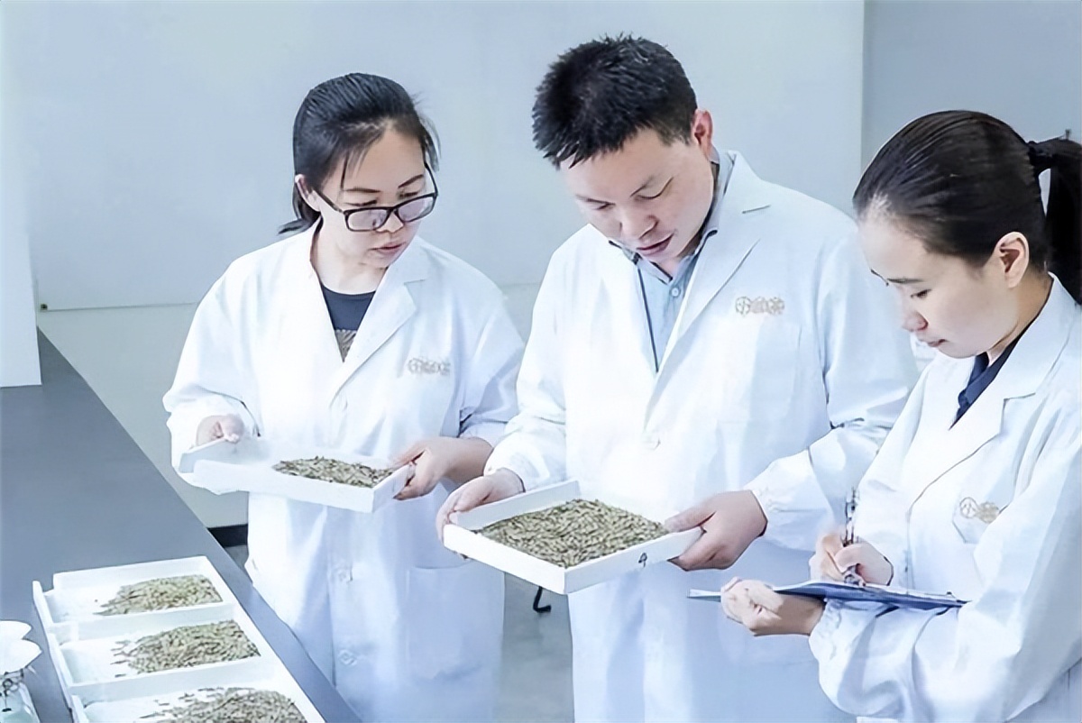 Analysis of the current situation and future of Chinese tea - iNEWS