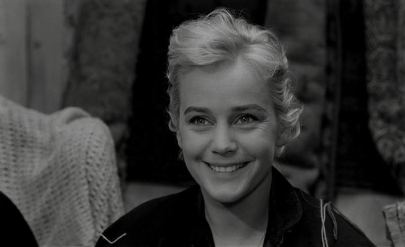 An Analysis of the Plot Structure of "White Night" - iNEWS