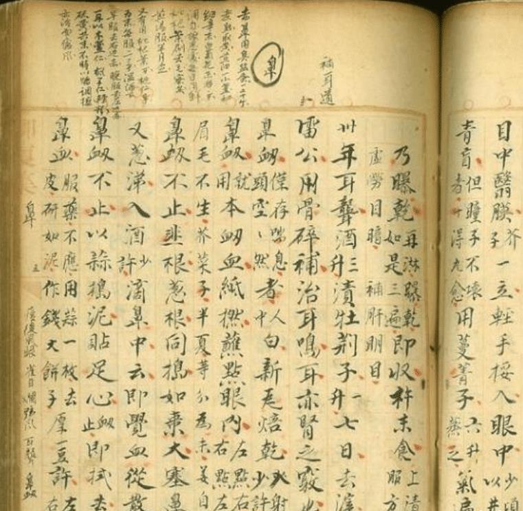 A hundred years ago, a royal medical manuscript appeared, recording 540 ...