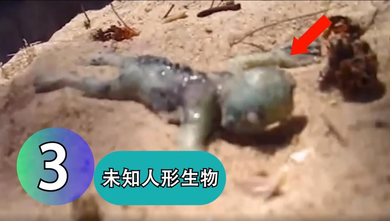 7 kinds of strange creatures discovered by the folks, human-faced fish ...