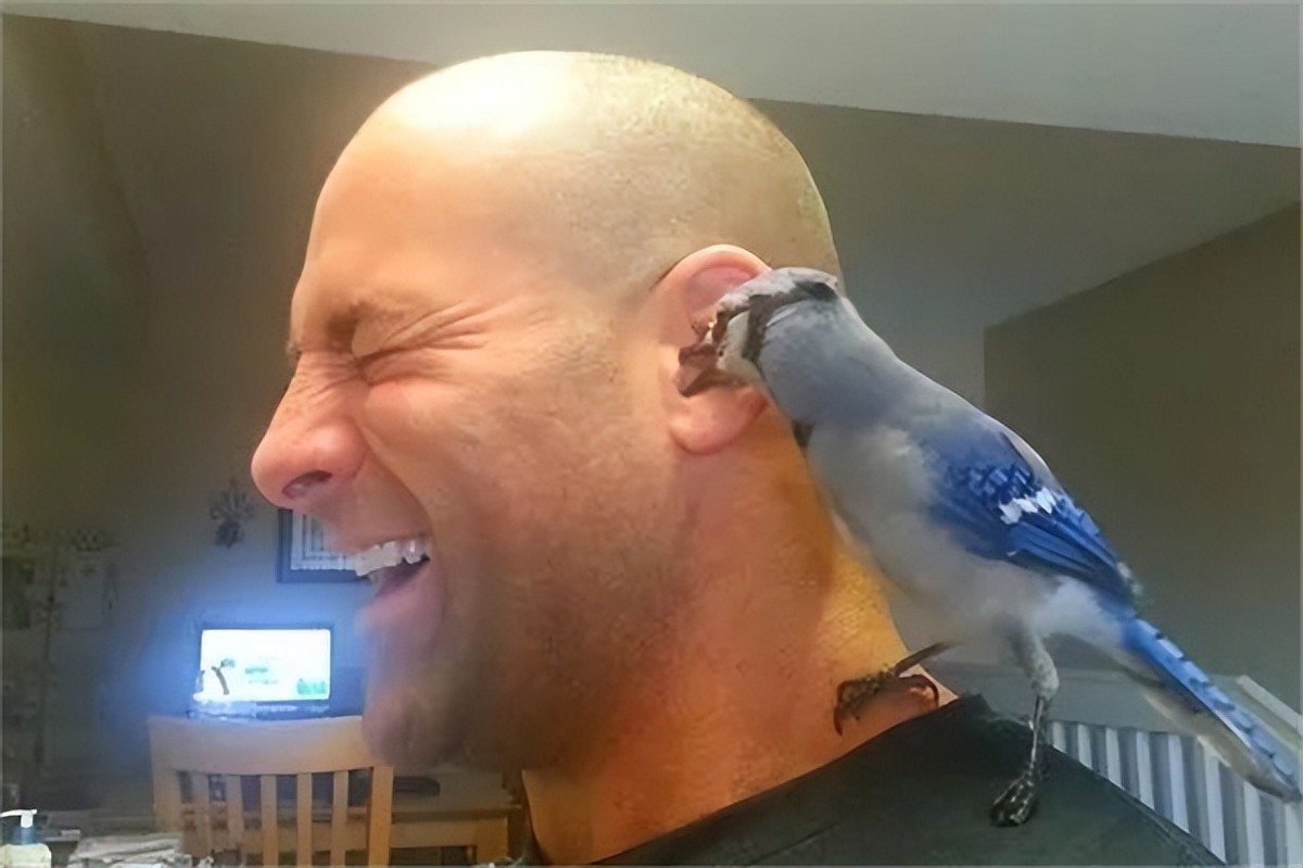 The girl saved a bird 9 years ago, and the bird saved her from cancer ...