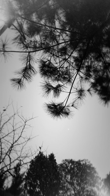 Learning Wisdom from Confusion: Learn to Restrain Yourself - iMedia