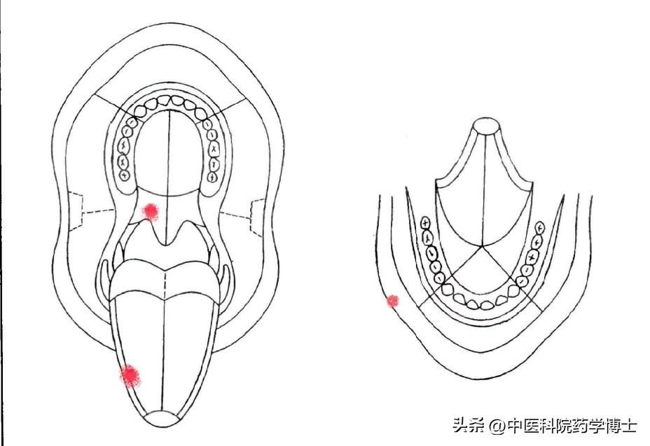 Mouth moss? Li Dongyuan believes that the spleen and stomach are lost ...