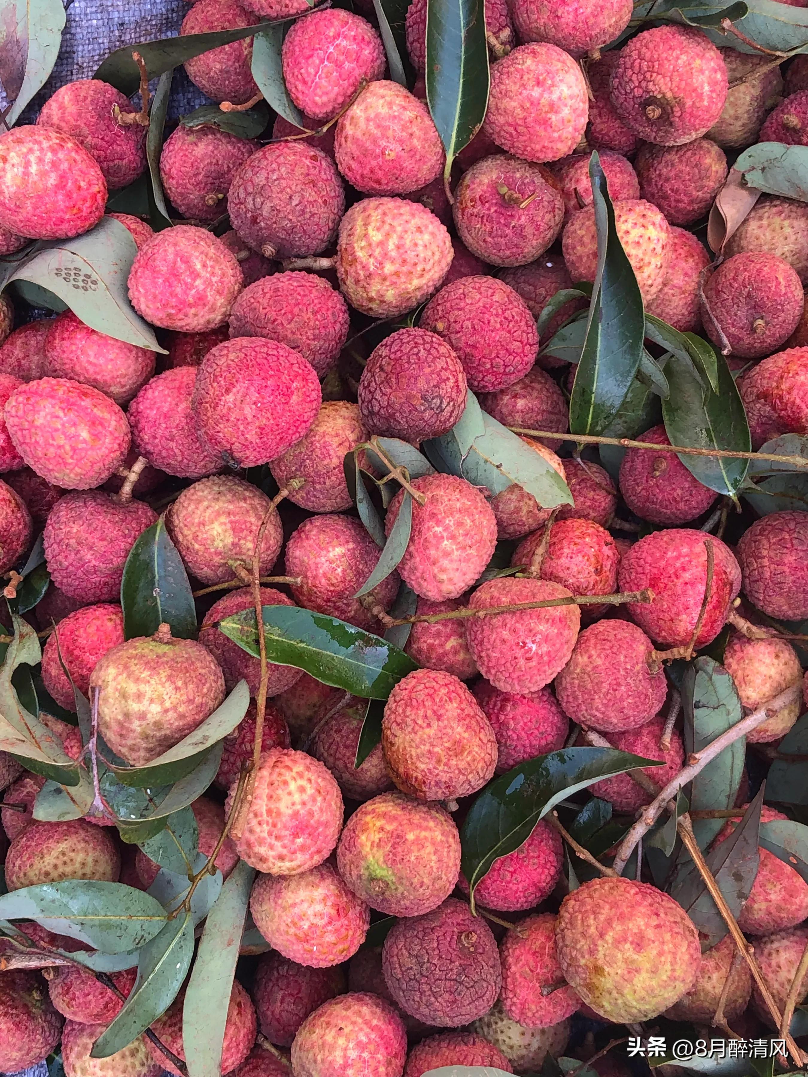 i love lychees - iNEWS