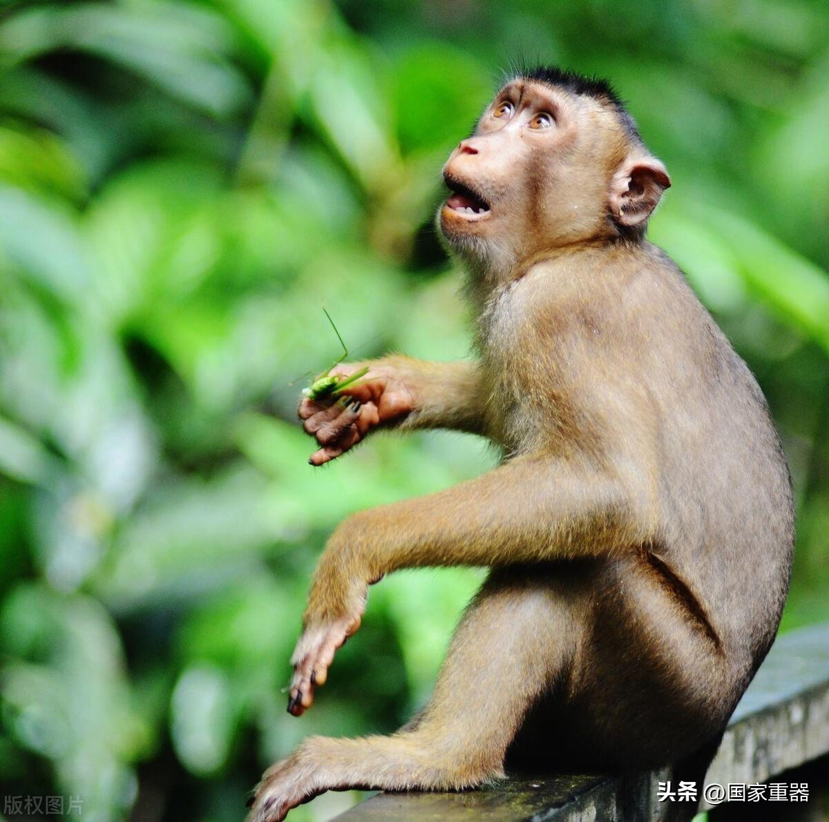 Give the child a warm embrace: the parenting trap revealed by the ...