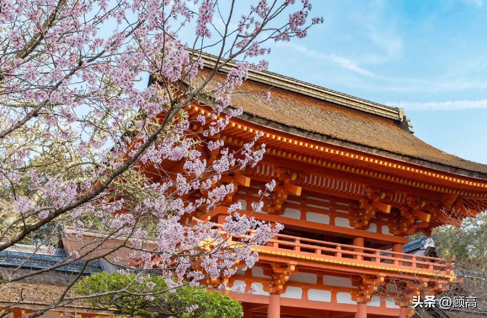 Different customs of Spring Festival in Tongdong area - iNEWS