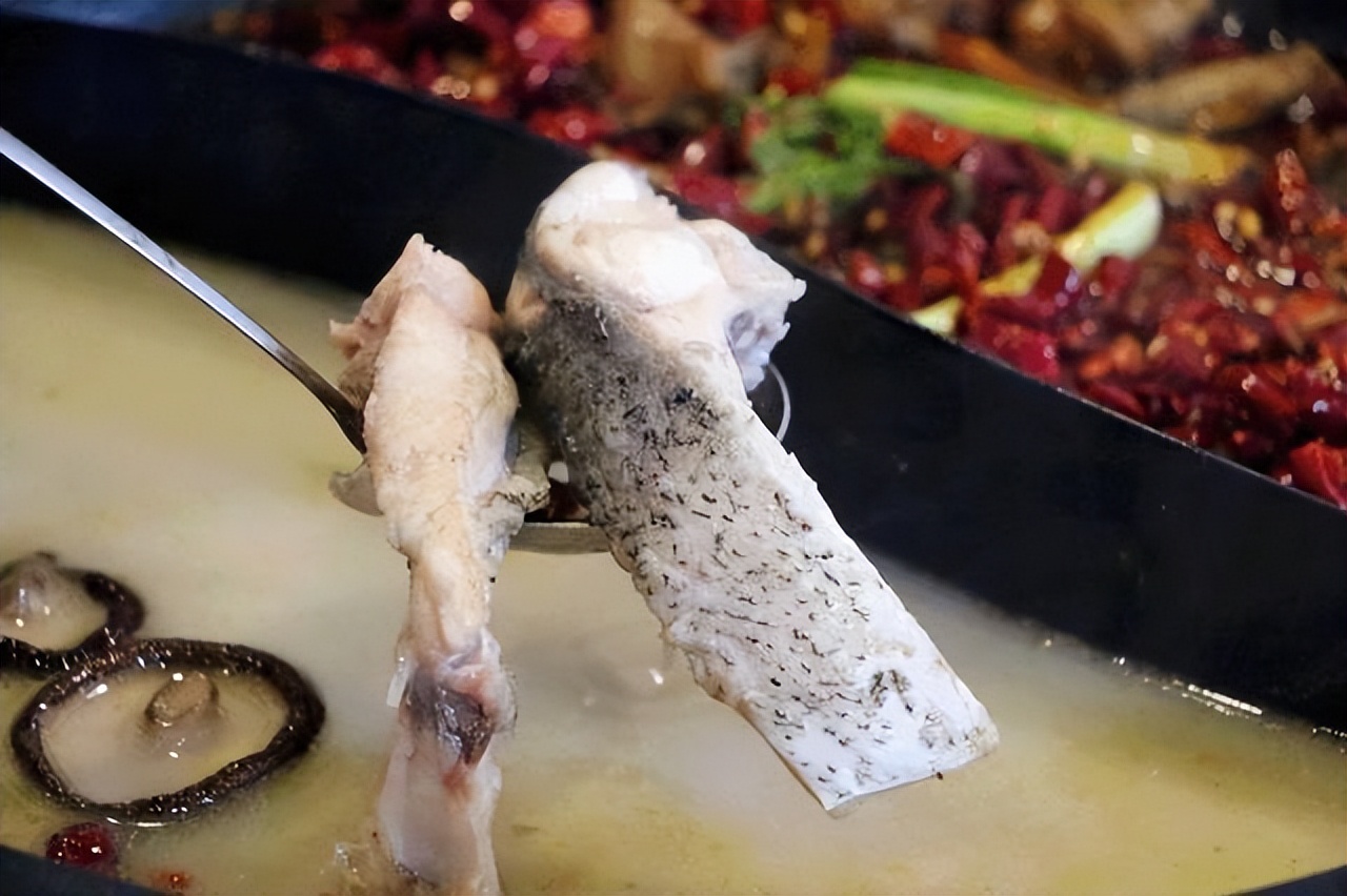These 5 kinds of fish, try to eat less - iNEWS