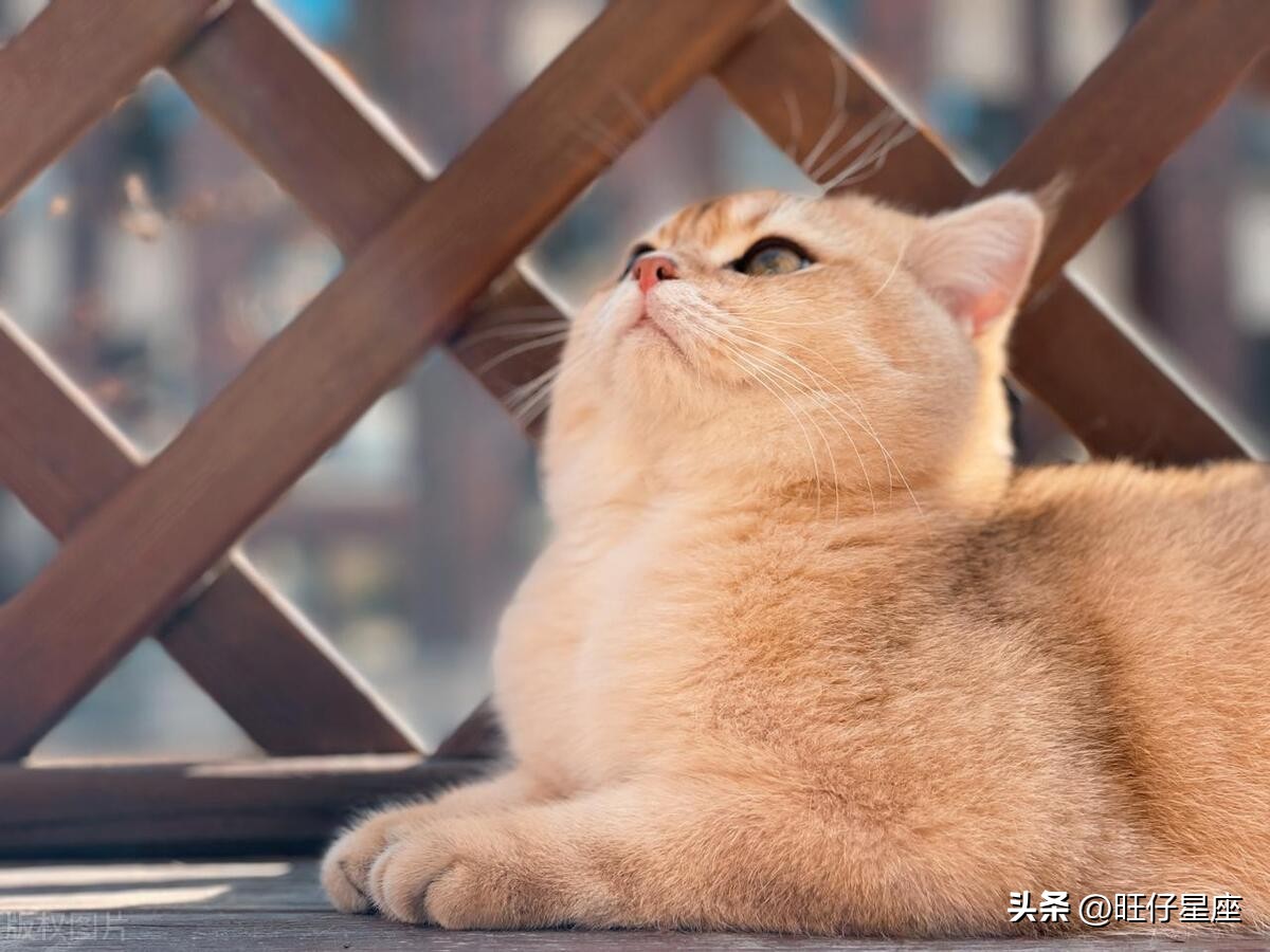 The three unique and powerful constellations - iMedia