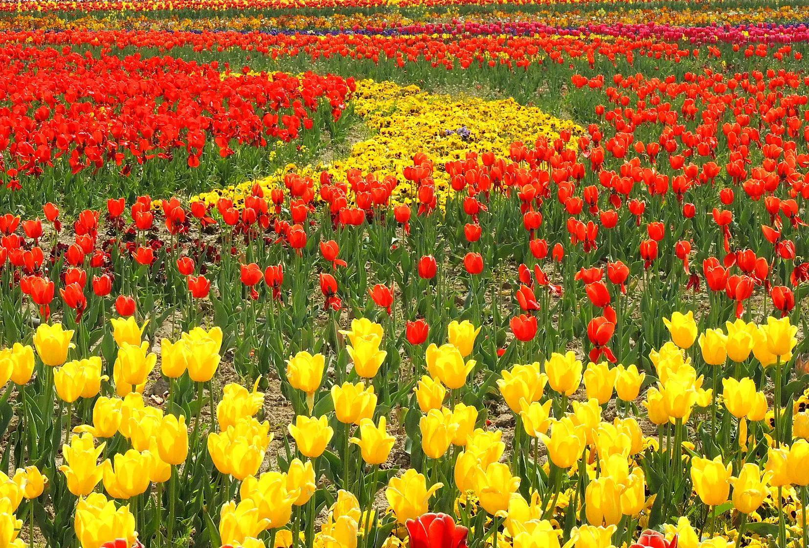 Master Hongyi "Cultivation can be practiced everywhere in life" - iNEWS