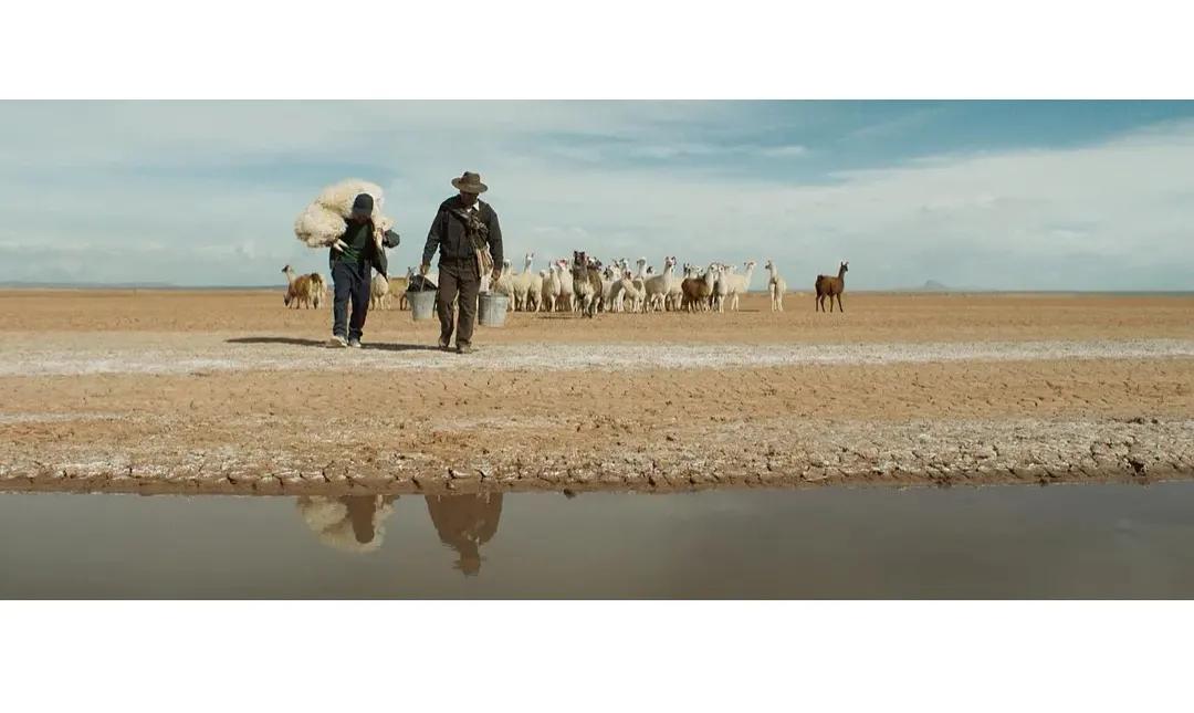 Bolivian Movies! - iMedia