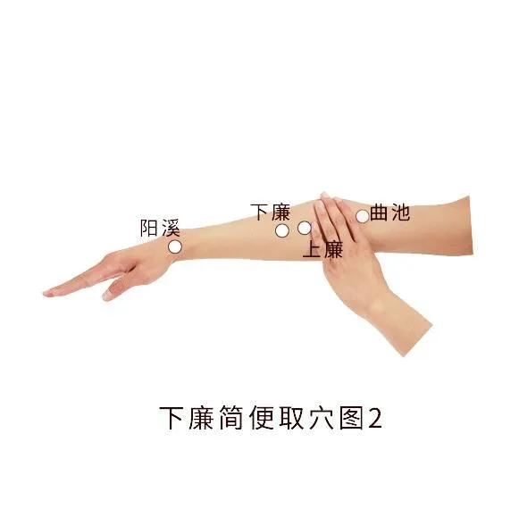 Lower Lian Point of the Large Intestine Meridian, an Effective Point ...