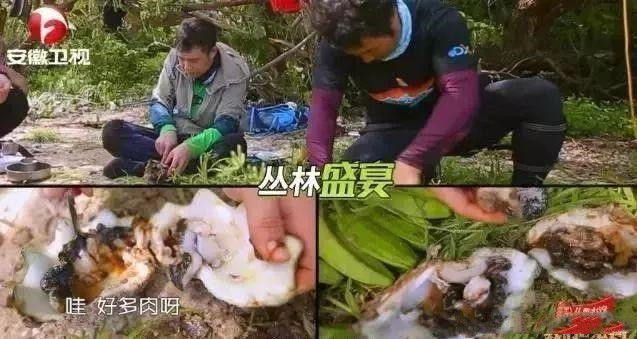 Sentenced to 5 years in prison for predatory protection of animals - iNEWS