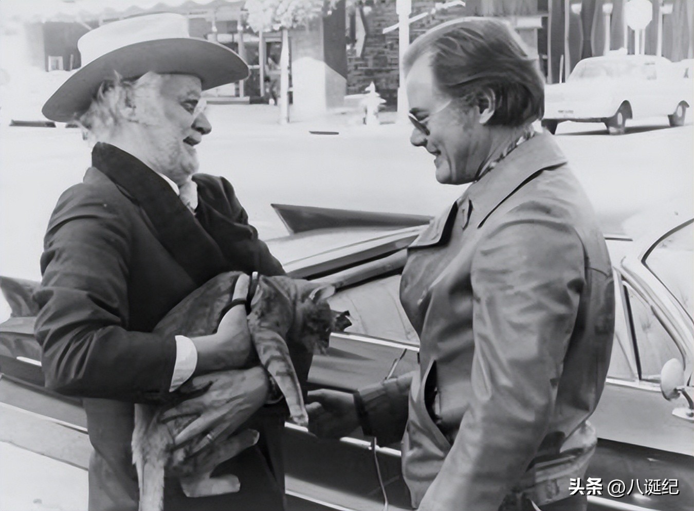 The movie "The Old Man and the Cat", the emotional bond that spans the ...