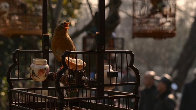 Ouyang Xiu's "ci is a small plan", but he has become the number one ...