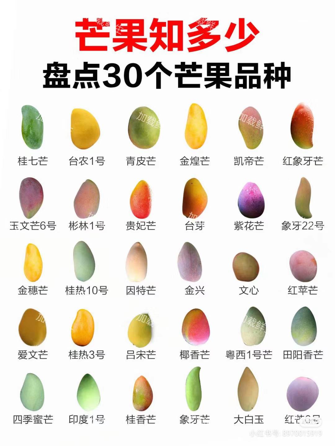 A complete list of mango types, which one is your favorite? - iNEWS