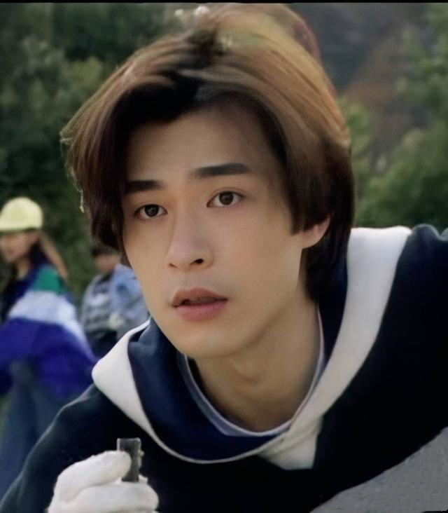 Hong Kong's top ten handsome male singers in the 1990s, Louis Koo is on ...