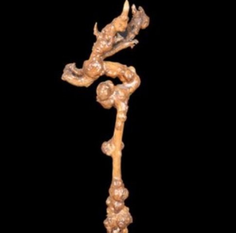 In ancient times, there were four weapons used to "beat the tyrants and ...