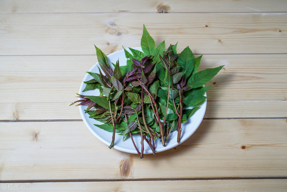 Fragrant and attractive spring wild vegetables, hot and cold dishes are ...