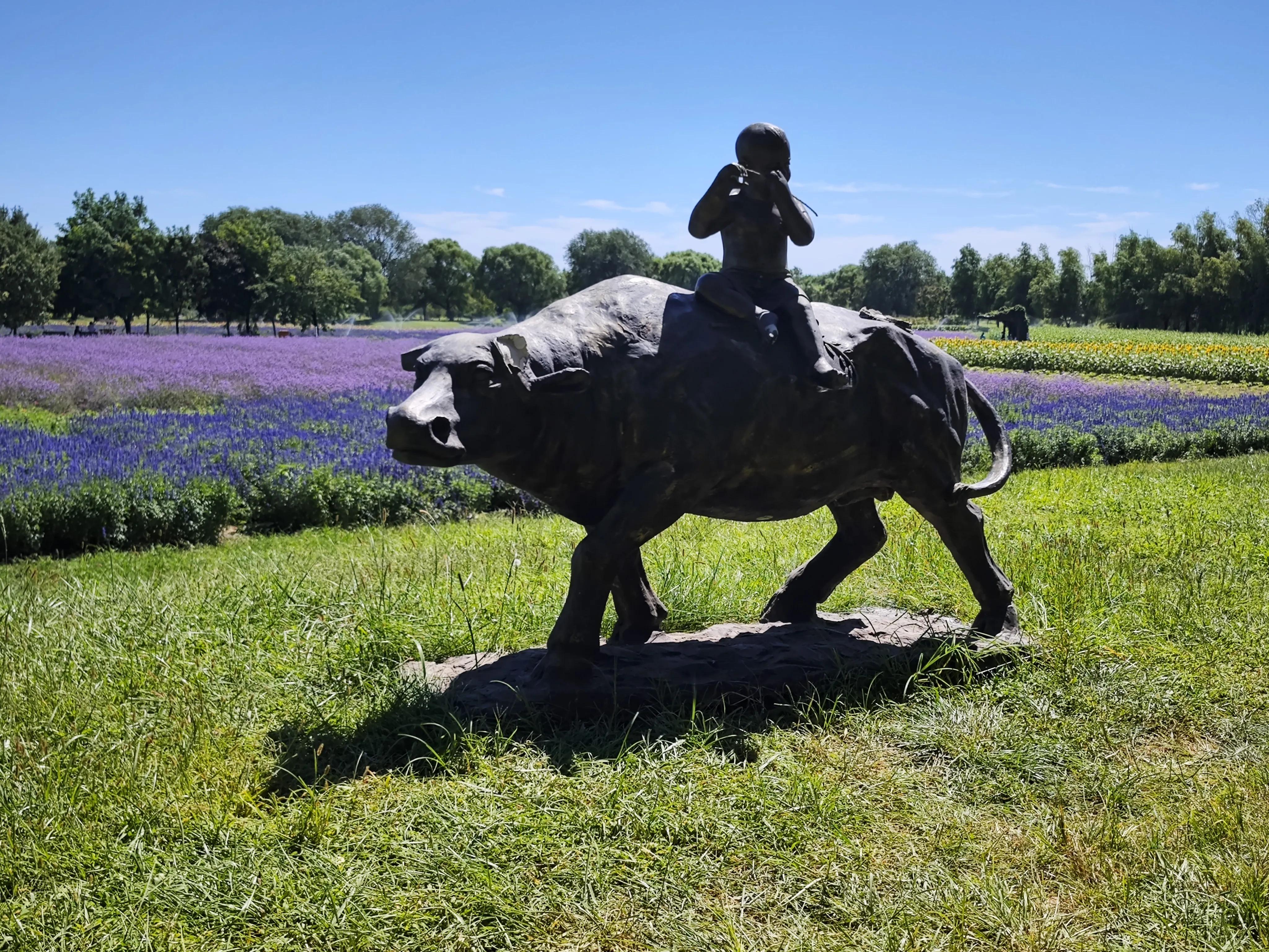 In autumn, please go to Zigu for a walk - iNEWS